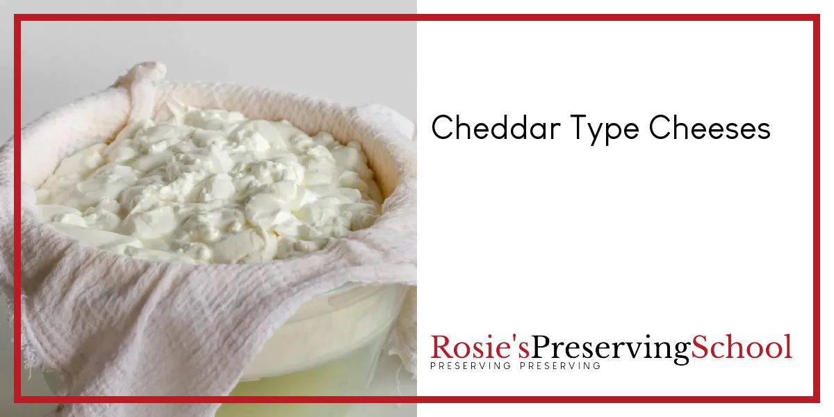 Cheddar Type Cheeses at Rosie's Preserving School.