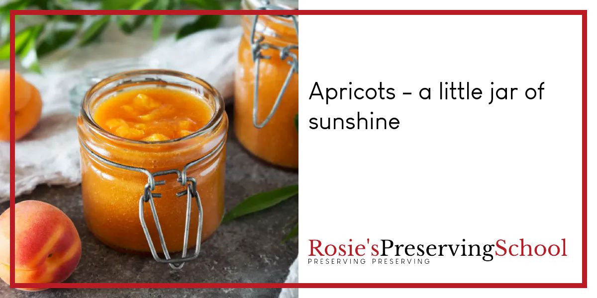 Learn how to make apricot jam at Rosie's Preserving School